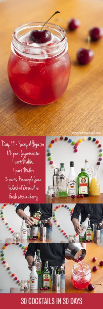 30 Cocktails in 30 Days - Day 19: the Sexy Alligator – Mr and Mrs ...