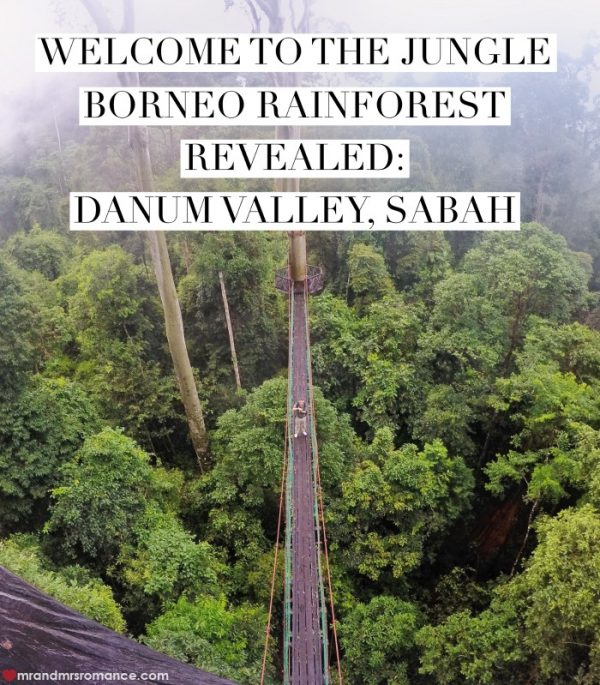 How to experience the Borneo rainforest - Danum Valley, SabahMr and Mrs ...