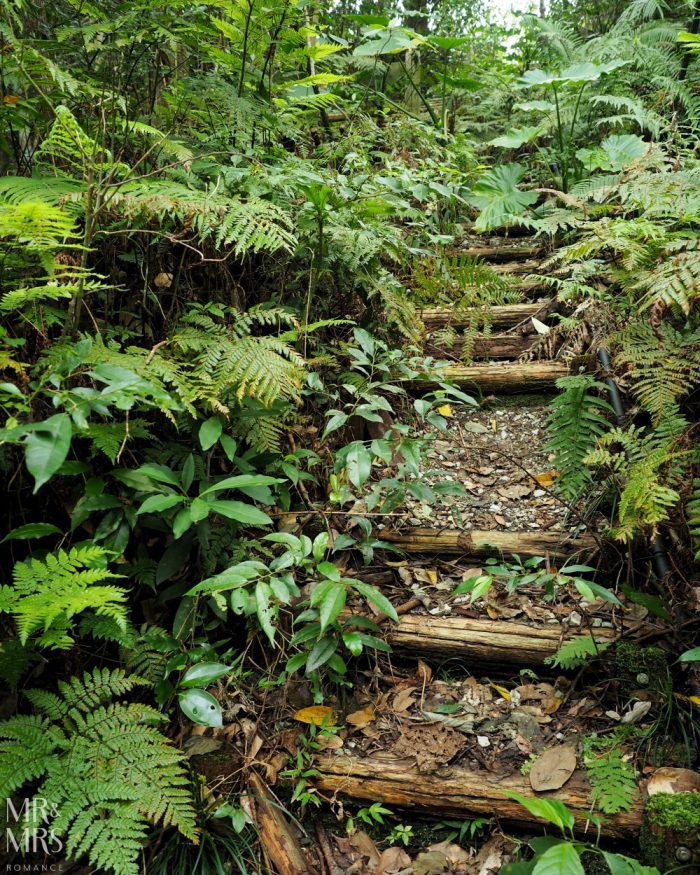 The heart of Okinawa: what are Power Spots and how do you find them?