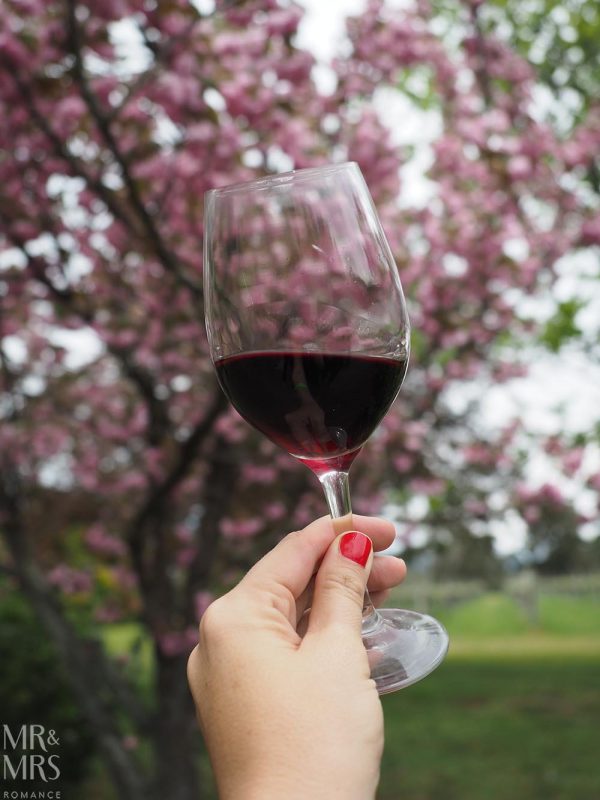 Which red wine? Our guide to 10 red wine varietals – Mr and Mrs Romance
