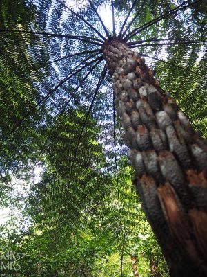 15 beautiful country towns to visit in New South Wales, AustraliaMr and ...