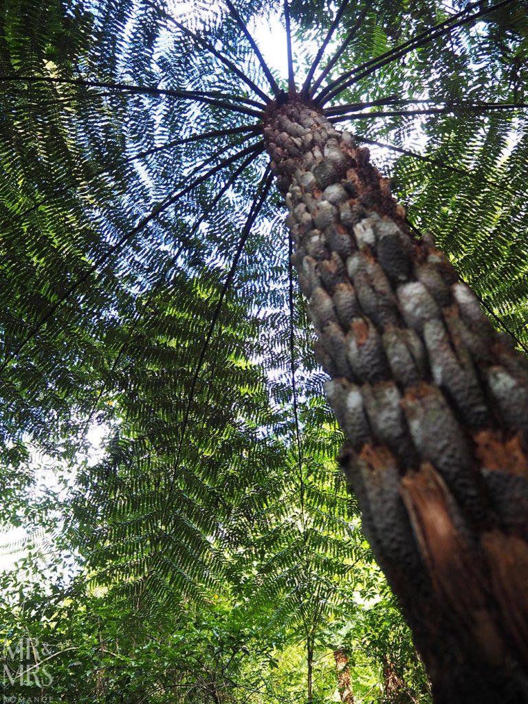 15 beautiful country towns to visit in New South Wales, AustraliaMr and ...