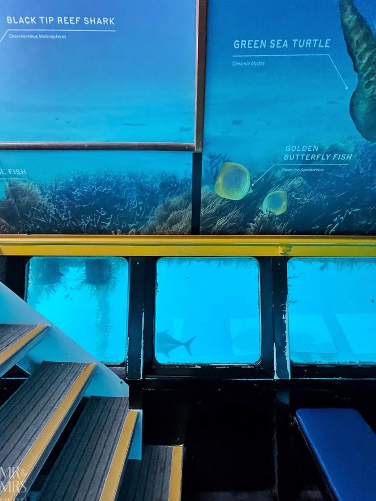 Overnight On The Great Barrier Reef-Reefworld in the Whitsundays