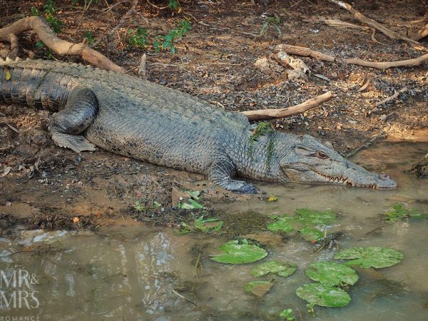 Essential Guide to Kakadu National Park, Australia